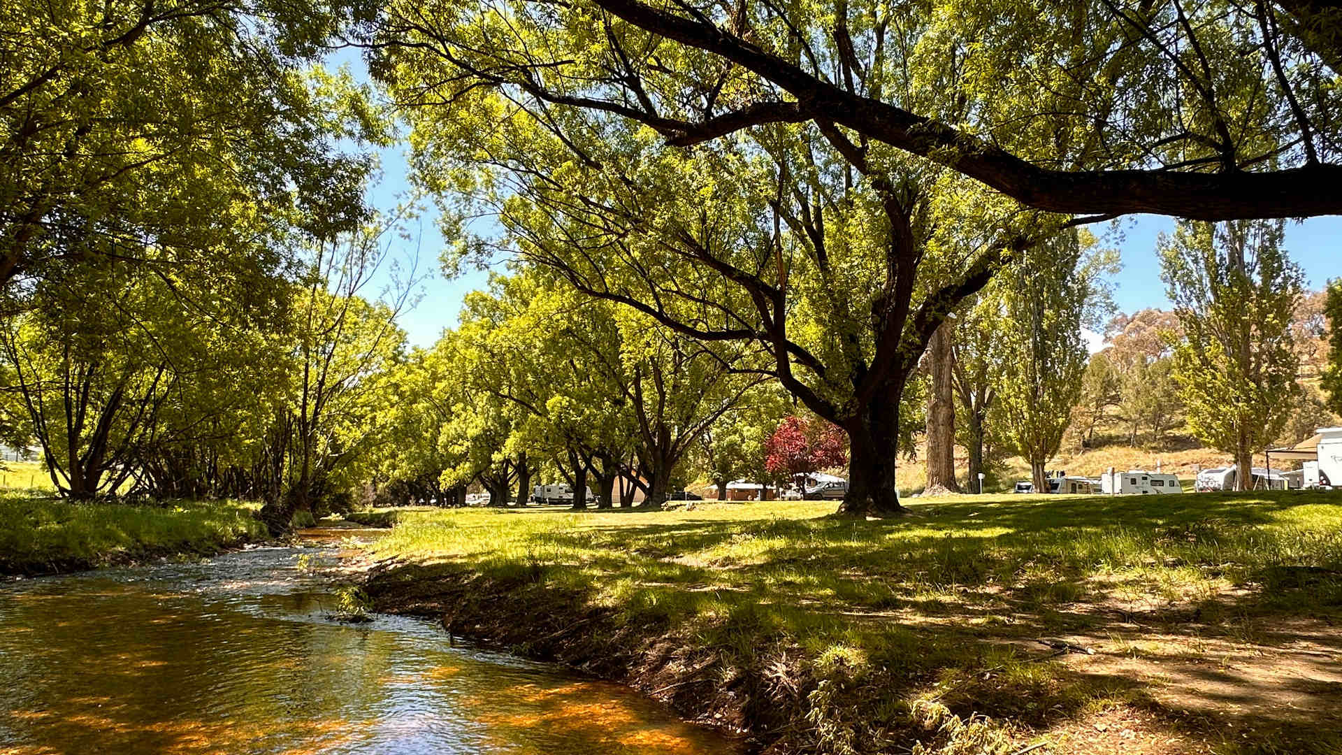 Omeo Holiday Park Official Site